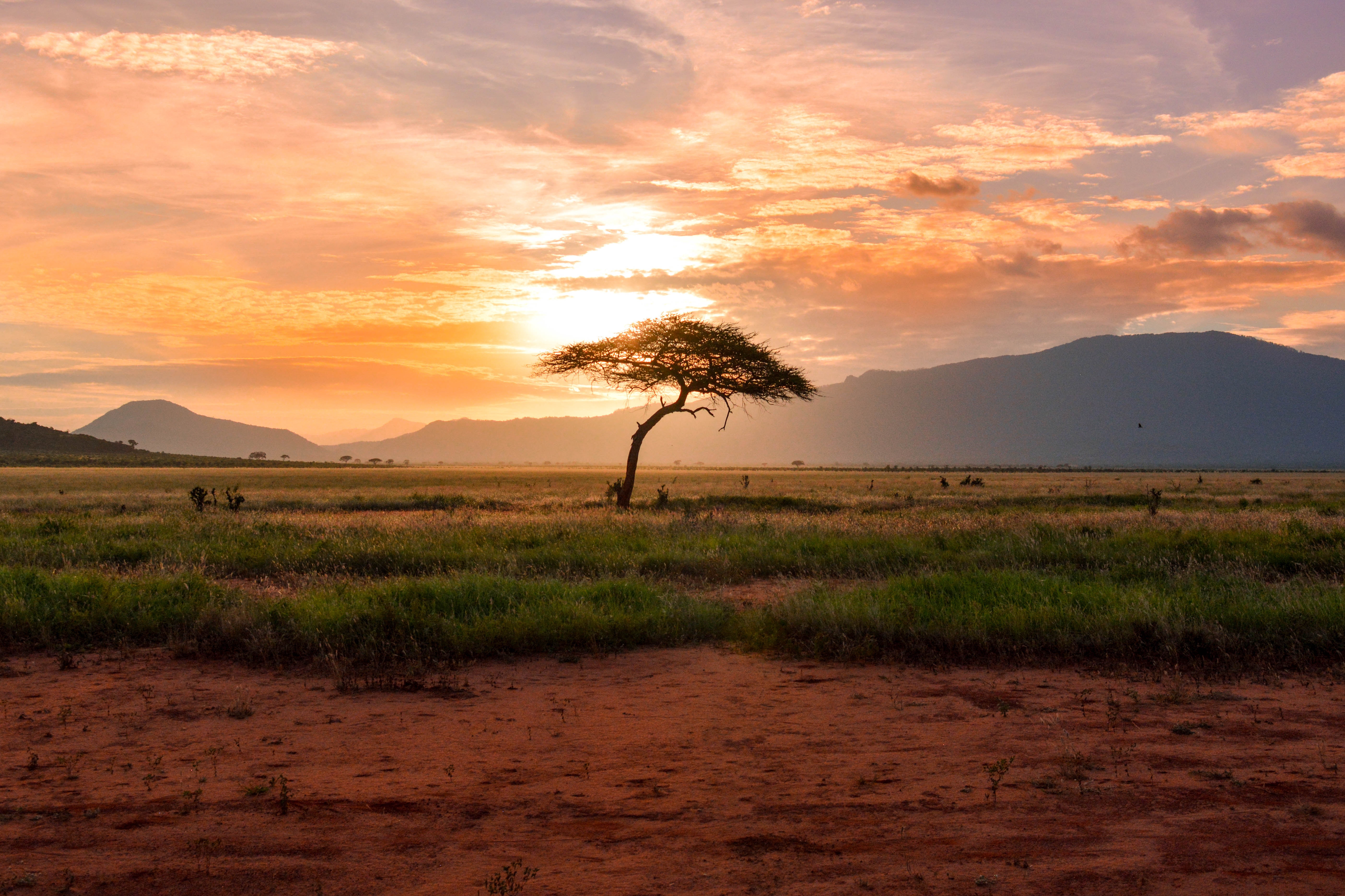 Safari Packages