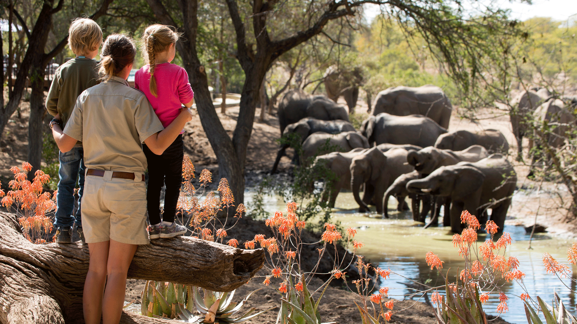 6-Day Perfect Botswana Family Safari | Signature Safari