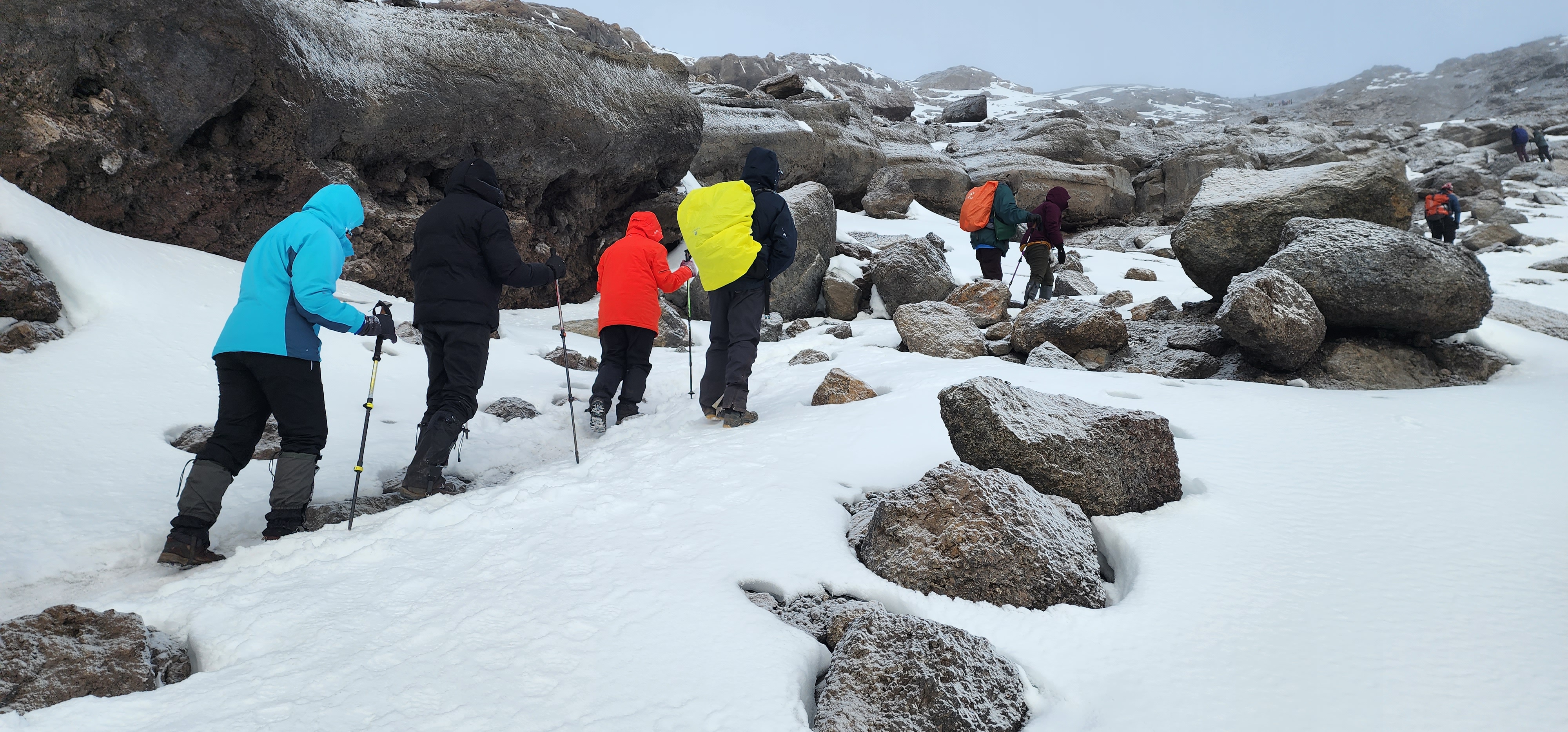 Affordable Kilimanjaro Trek Rongai Route 6 Days Safari Highlights