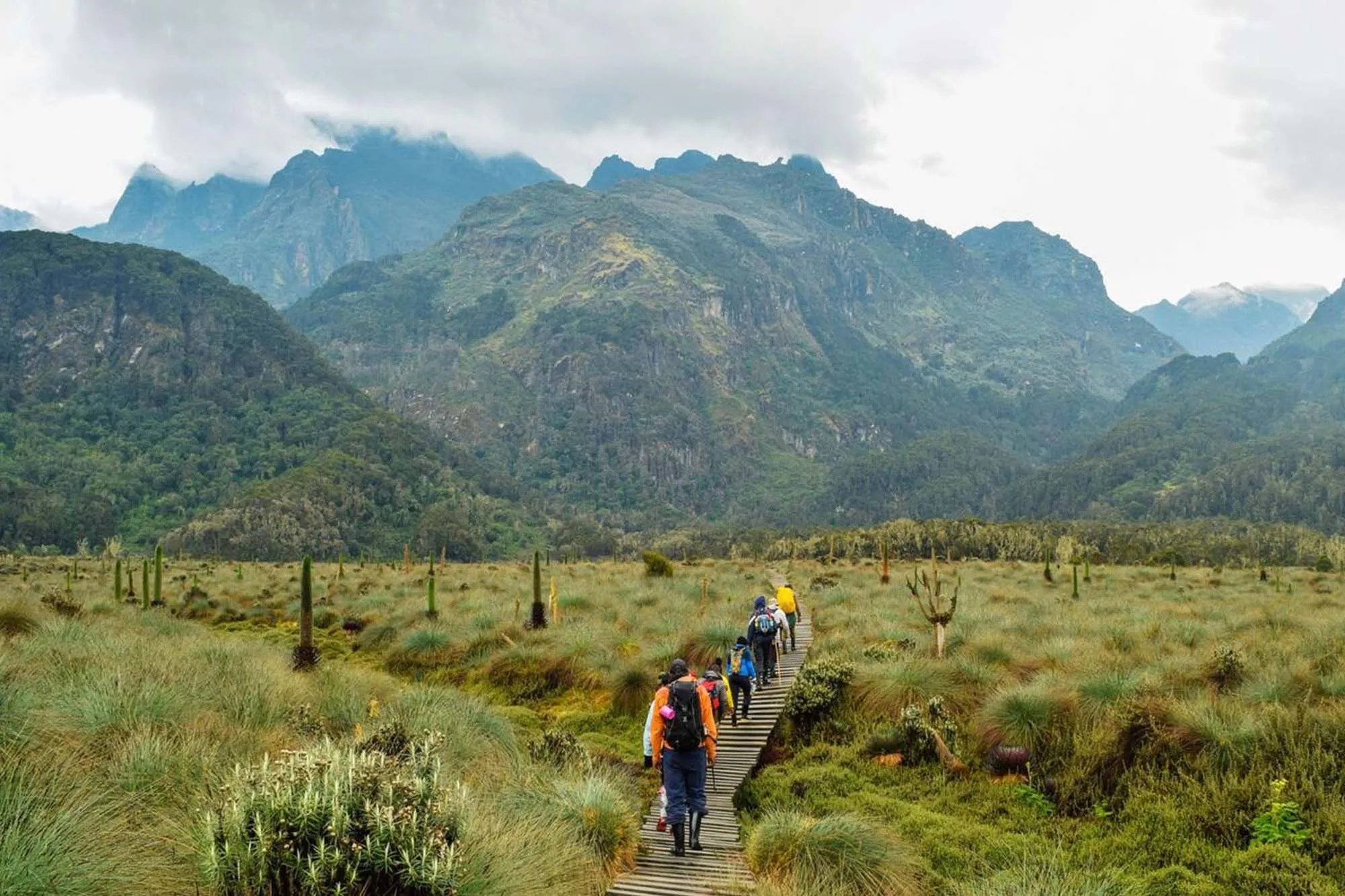 9 Days Rwenzori Mountain Trekking