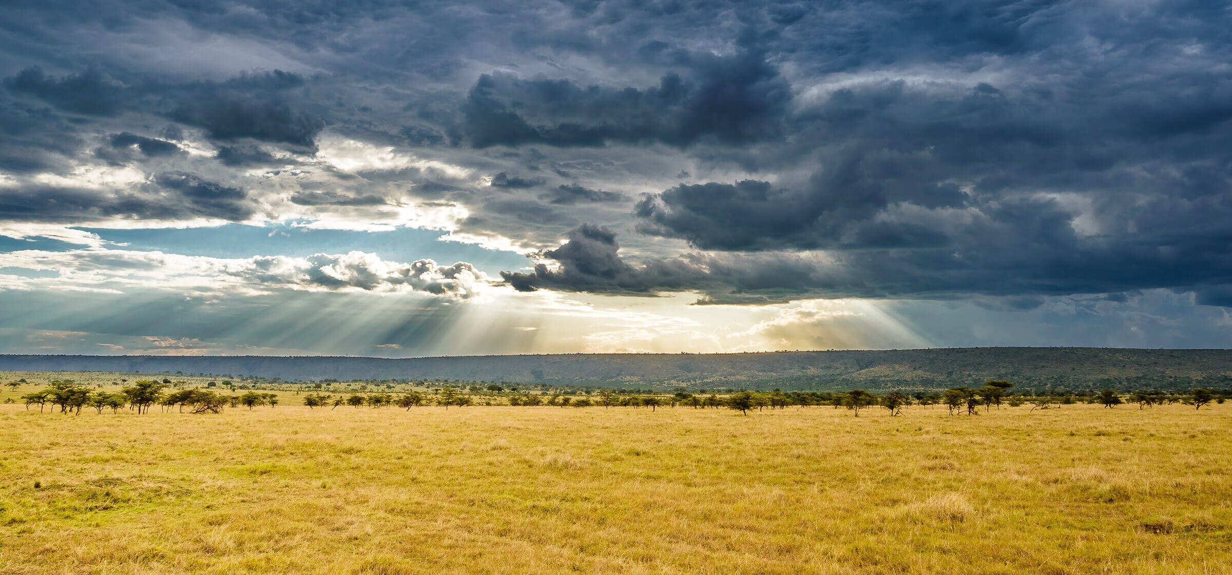 Weather and Climate in Tanzania - Signature Safari